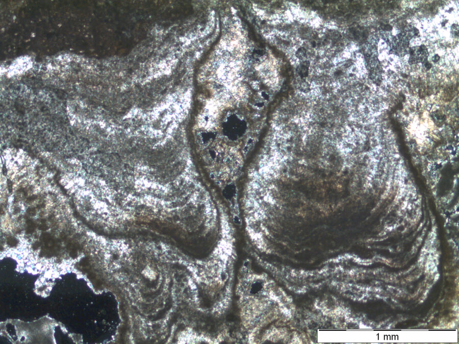 Saso de las Fitas – Estudio y Clasificación de suelos de Aragon – iArasol