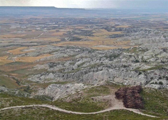 Tauste – Estudio y Clasificación de suelos de Aragon – iArasol